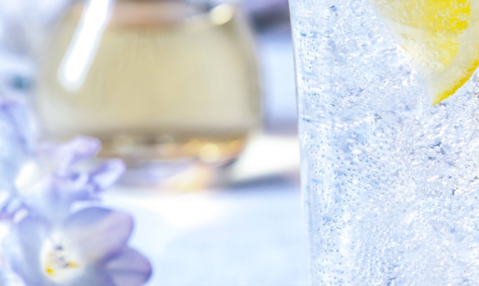 Citronic Cocktail | Vodka Soda and Tonic | GREY GOOSE