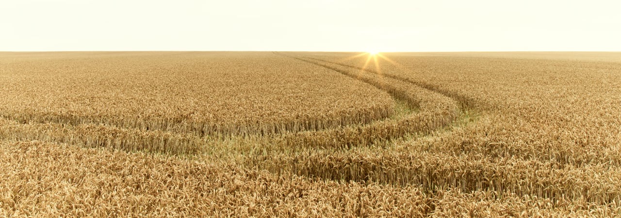 How and Where Grey Goose Vodka is Made | GREY GOOSE