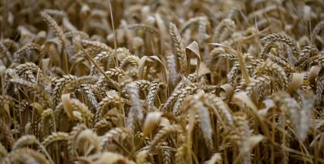 GREY GOOSE La Collection Miniature Bottle Vodka Gift Set | GREY GOOSE