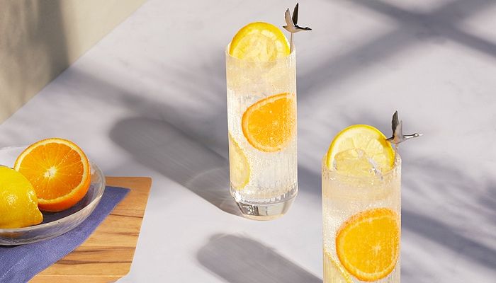 DIY: How to Make a Vodka Seltzer Drink | GREY GOOSE