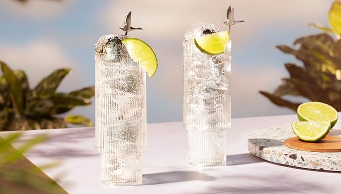 DIY: How to Make a Vodka Seltzer Drink | GREY GOOSE