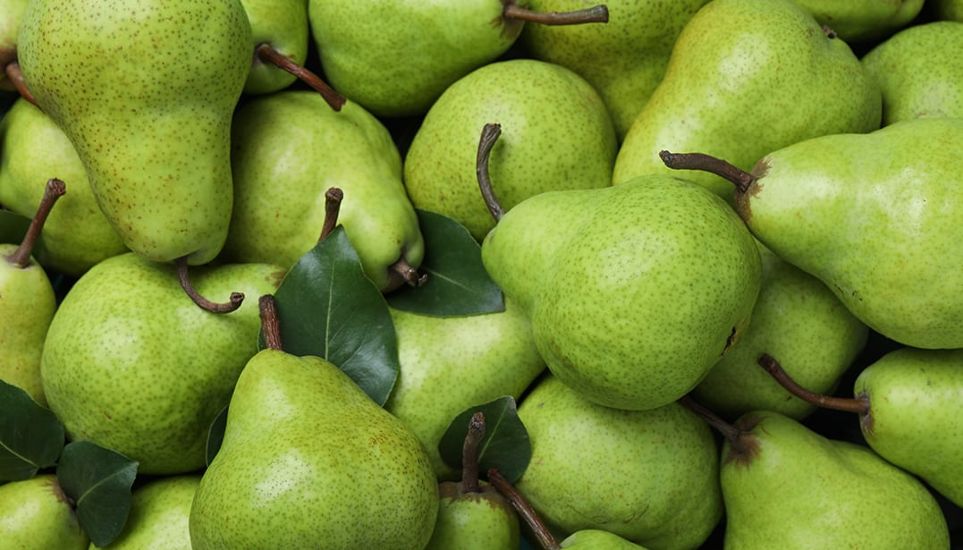 Best Pear Vodka Cocktail and Drink Recipes | GREY GOOSE