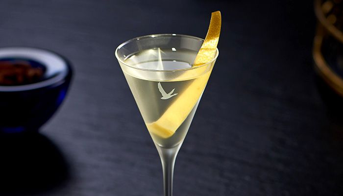 Top 6 Most Popular and Common Vodka Drinks and Recipes | GREY GOOSE