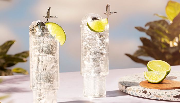 Top 6 Most Popular and Common Vodka Drinks and Recipes | GREY GOOSE