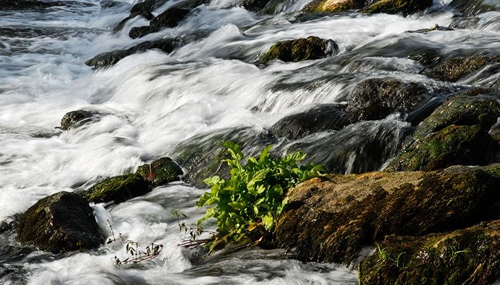 How and Where Grey Goose Vodka is Made | GREY GOOSE